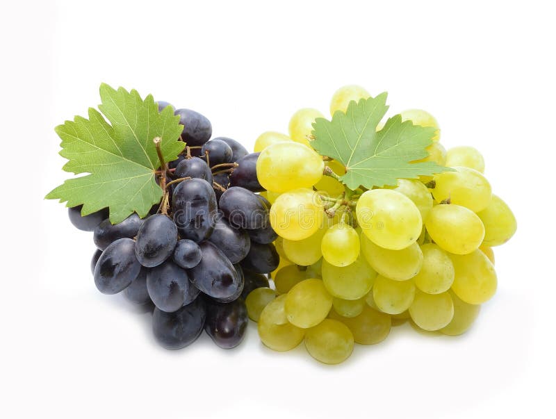 Fresh grapes with leaves stock image. Image of isolated - 57789499