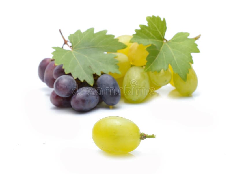 Fresh grapes with leaves stock image. Image of juice - 58576411