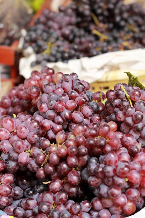 Fresh grapes on the market stock image. Image of nutrition - 38322915