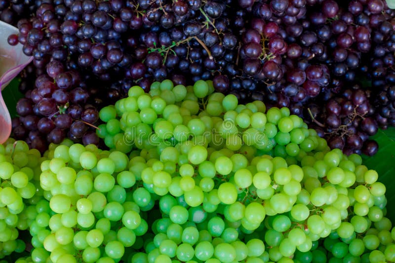 Fresh grapes in market stock photo. Image of black, fresh - 86443690