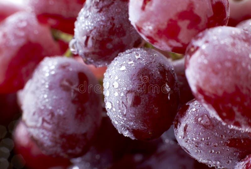 Fresh Grapes stock photo. Image of studio, healthy, closeup - 40251464