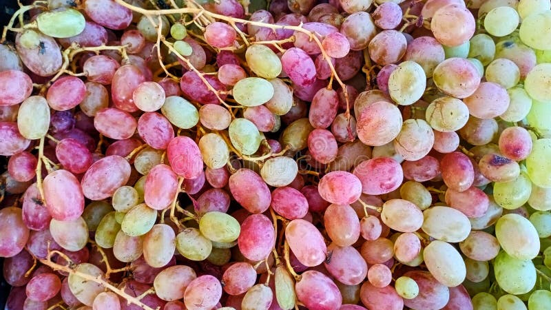 Grapeses Stock Photos - Free & Royalty-Free Stock Photos from Dreamstime