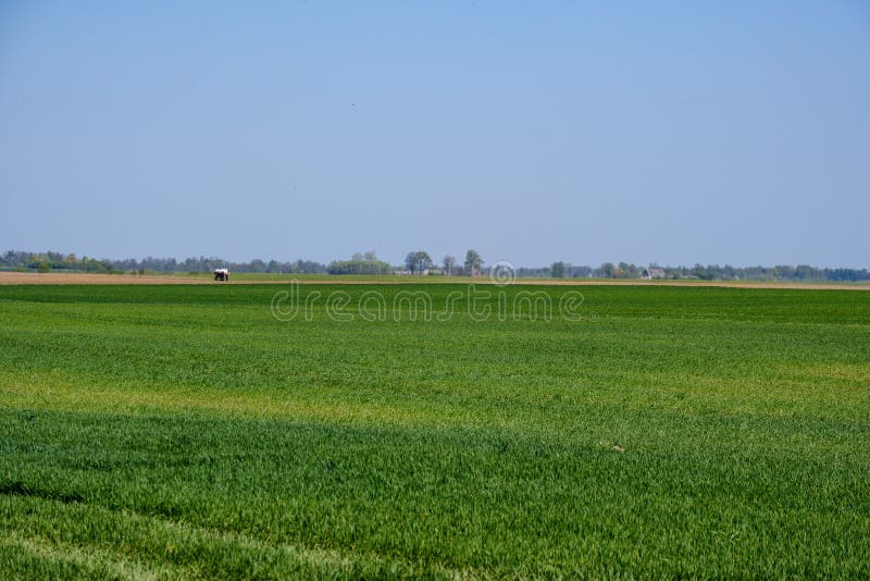 Fresh Green Agriculture Fields in Spring Time Stock Photo - Image of ...