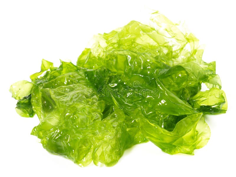 Fresh Green Algae - Healthy Nutrition Stock Photo - Image of leaves ...