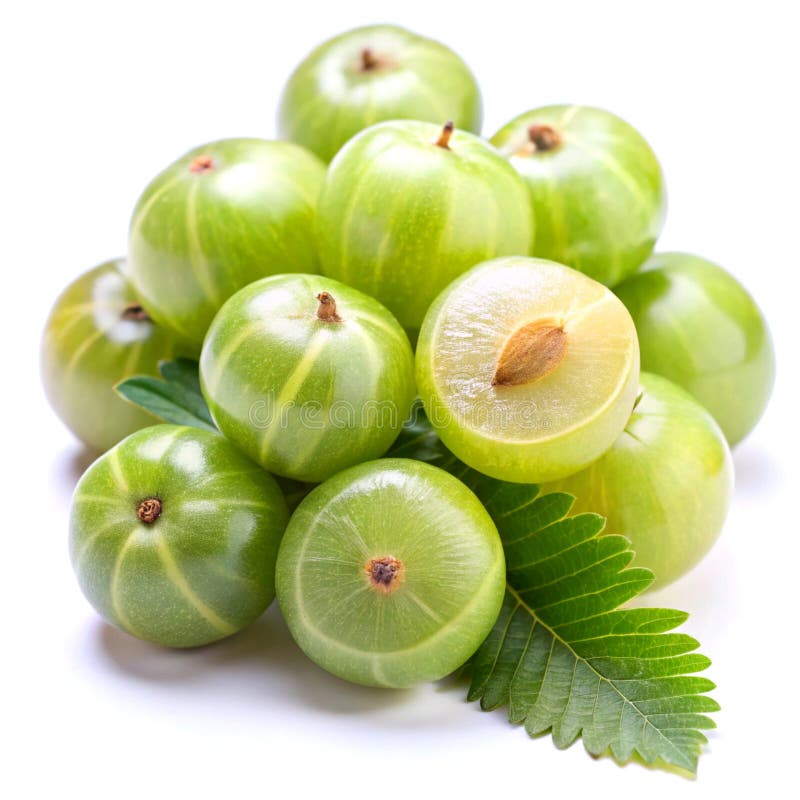 Fresh Green Amla, Isolated on White Background Stock Illustration ...