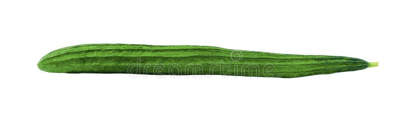 Loofah Long Handled Back Brush Stock Image - Image of massage, long ...
