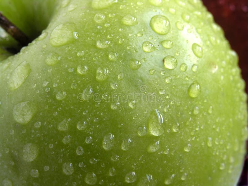 Fresh green apple stock image. Image of tasty, green, healthy - 8444541