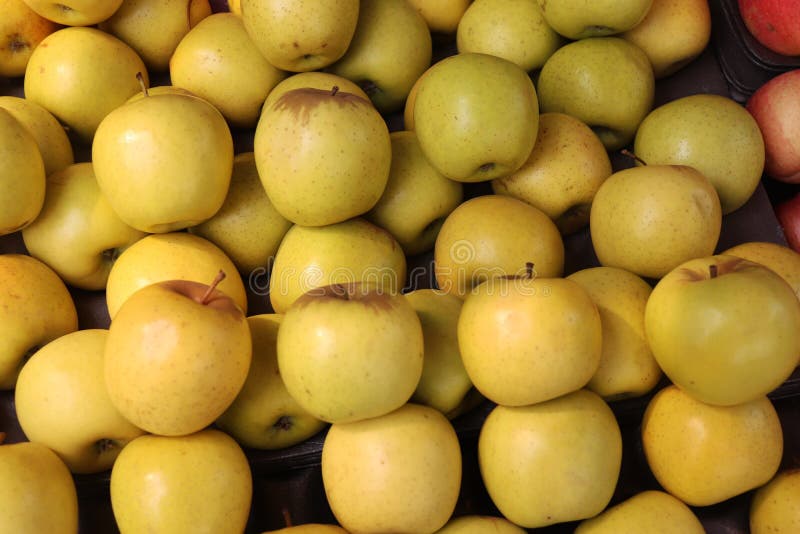 Fresh Green Apples Backgrounds, Lots of Green Apples Stock Photo ...