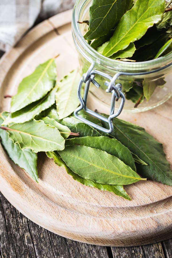 Fresh Green Bay Leaves on Cutting Board Stock Photo - Image of aroma ...