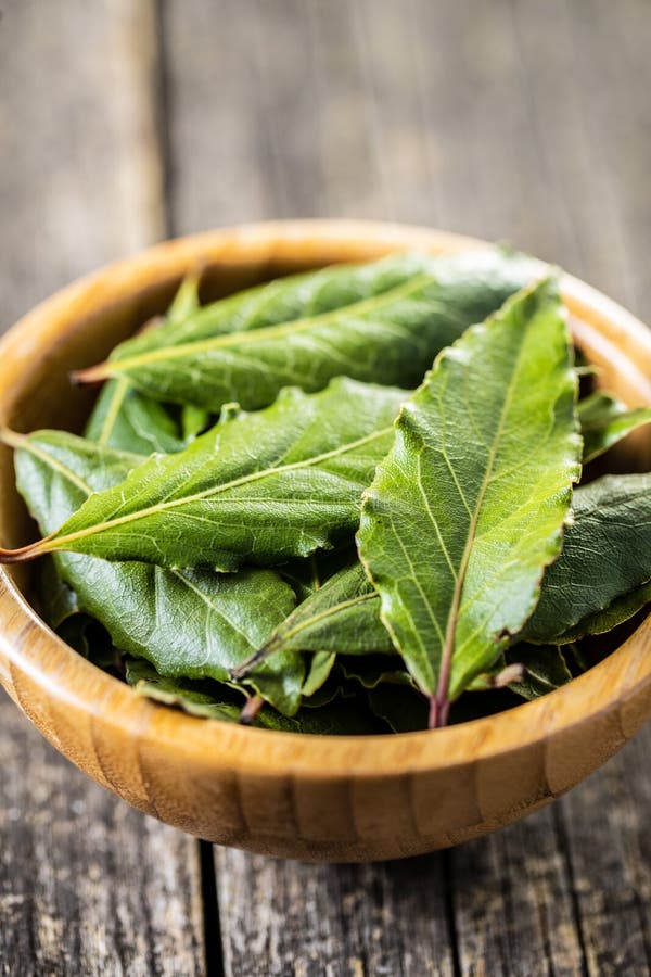 Fresh Green Bay Leaves in Wooden Bowl Stock Photo - Image of leaf ...
