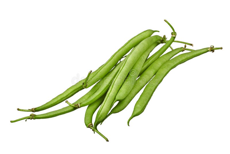 Green Beans stock photo. Image of isolated, food, fresh - 9798750
