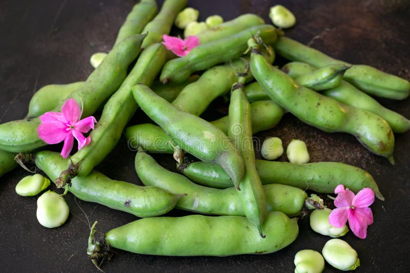 Fresh Green Beans of Milky Ripeness on the Table Stock Photo - Image of ...