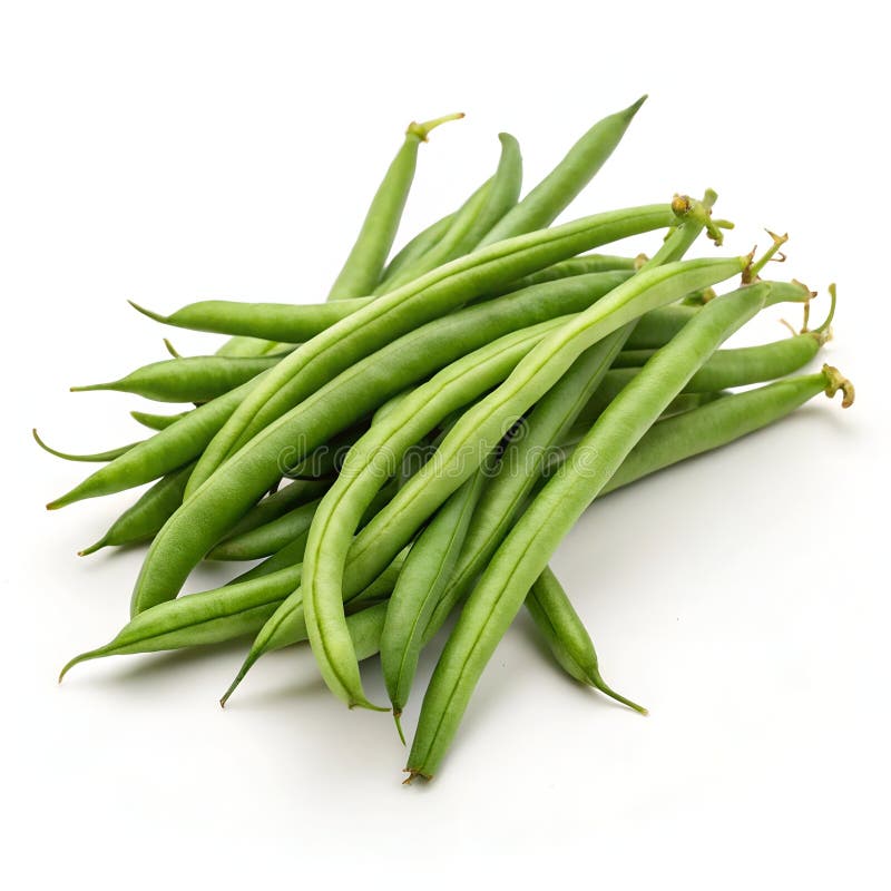Fresh Green Beans Vegetable Stock Illustration - Illustration of ...