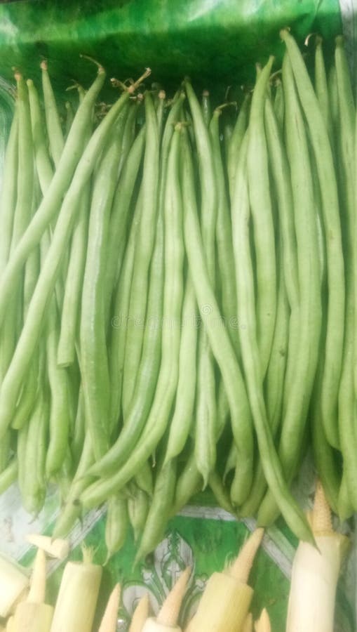 Fresh Green Beans at Vegetable Seller& X27;s Stock Photo - Image of ...