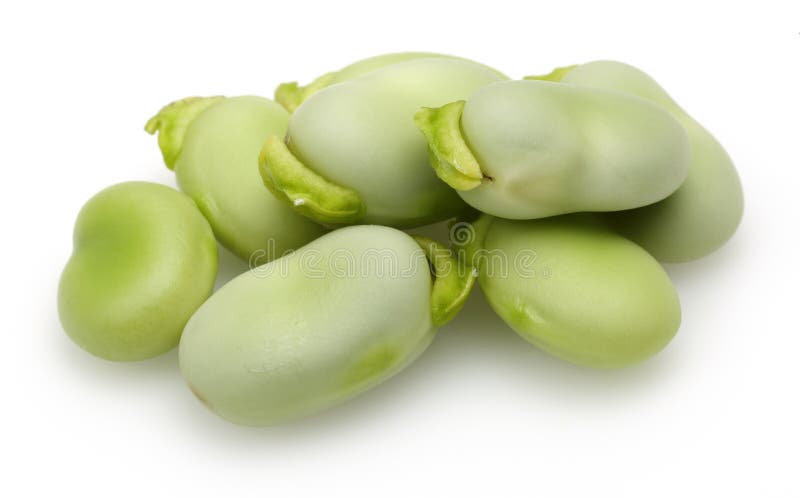 Fresh Green Broad Bean Isolated on White Stock Photo - Image of beans ...