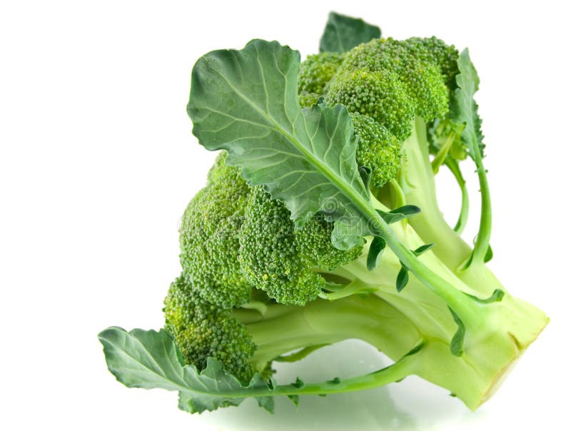Fresh green broccoli stock photo. Image of dieting, dinner - 28202078