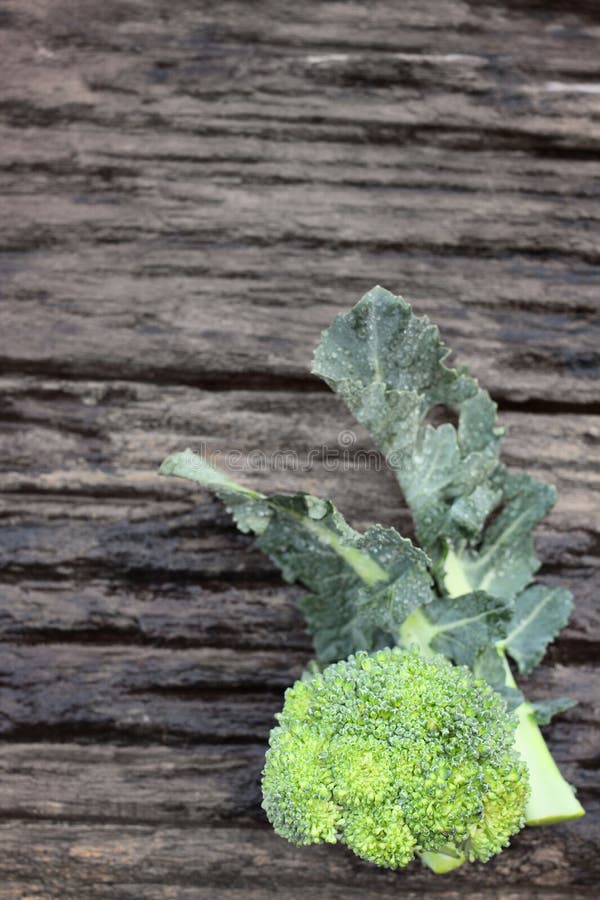 Fresh green broccoli stock image. Image of cuisine, healthy - 38098709