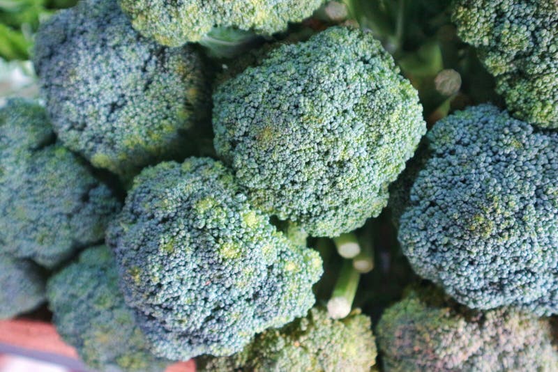 Fresh Green Broccoli: Close-Up of Healthy Vegetable, Natural Texture ...