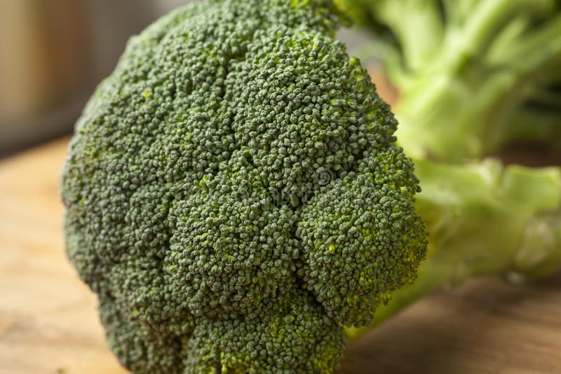 Fresh green broccoli stock image. Image of organic, ingredient - 87785675