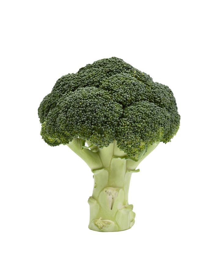 Raw broccoli isolated stock image. Image of plant, fresh - 112592465
