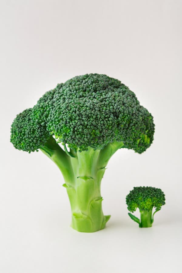 Broccoli Trees on Potato Hill Stock Image - Image of cuisine, cloud ...