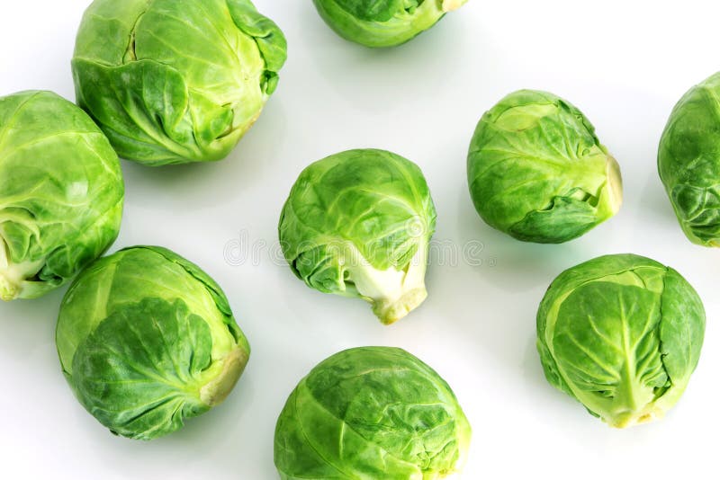 The Fresh Green Brussel Sprouts Vegetable on White Background Stock ...