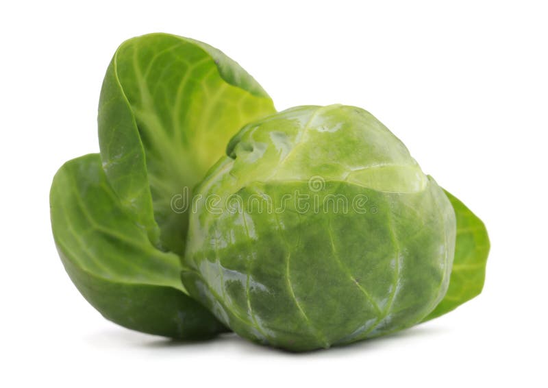 Fresh Green Brussels Sprout Isolated on White Stock Image - Image of ...