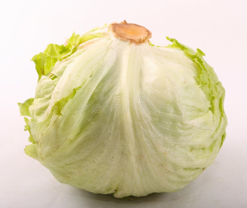 Fresh Green Cabbage stock image. Image of round, salad - 106565373