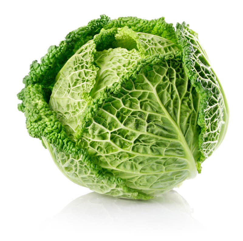 Red and Green Cabbage stock photo. Image of fried, grocery - 35828
