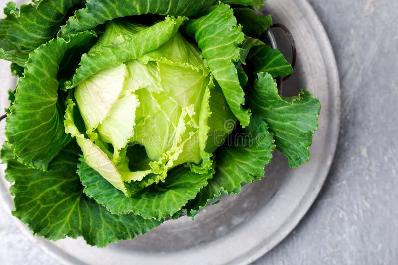 Fresh Green Cabbage in Metal Plate on Grey Background. Top View. Copy ...