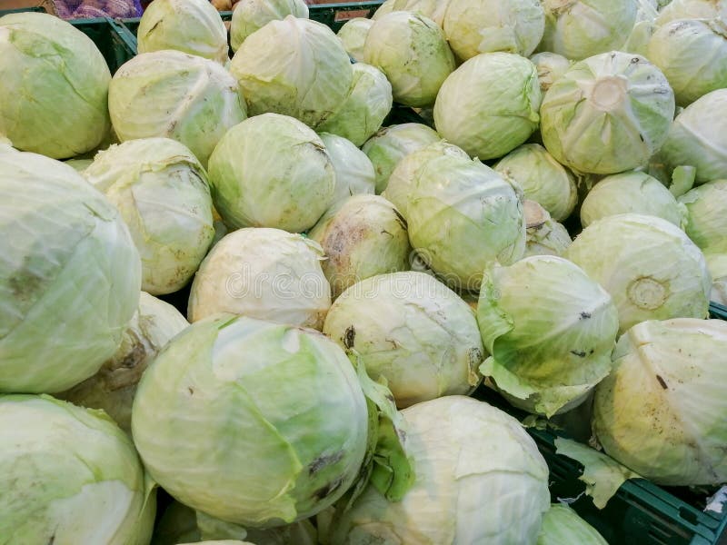 Fresh Green Cabbage on the Storefront in Plastic Boxes Stock Image ...