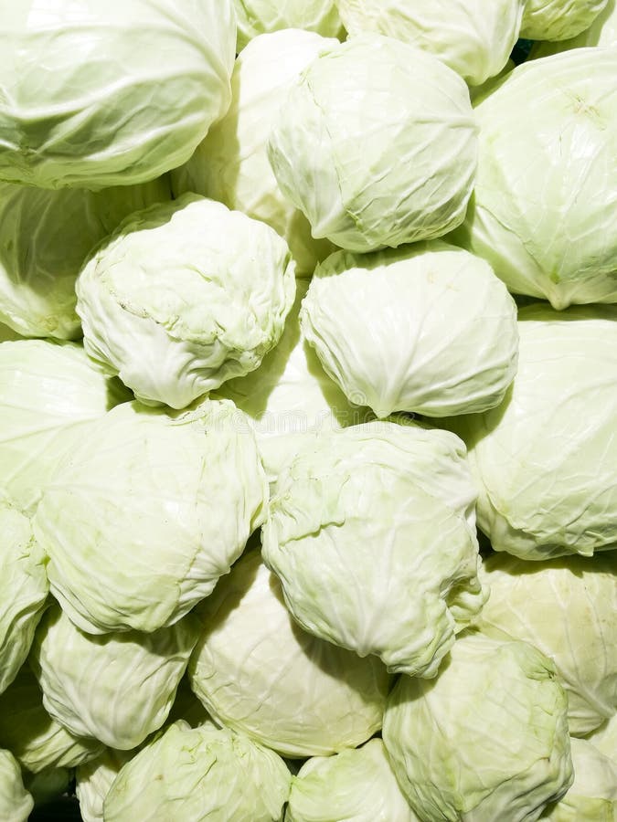 Fresh green cabbage stock photo. Image of vagetable, healthy - 78797550