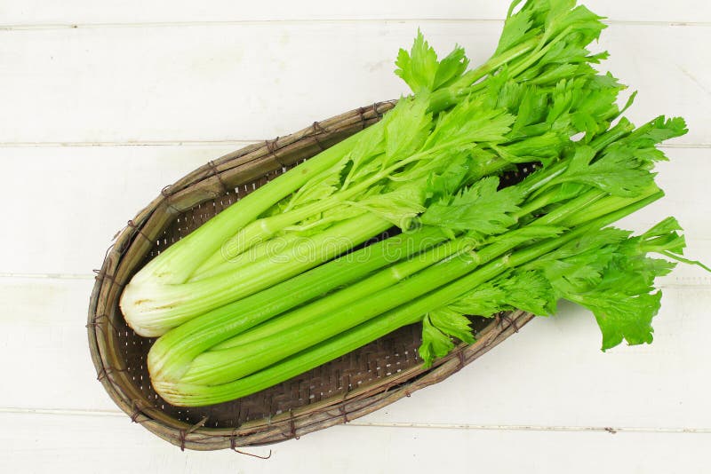 Fresh green celery stock photo. Image of celery, natural - 97325898