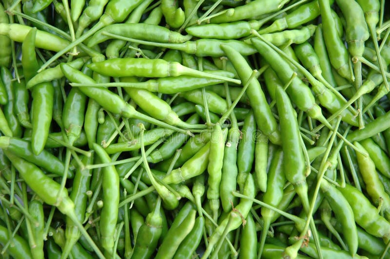 Fresh green chili stock image. Image of cayenne, heat - 17307953