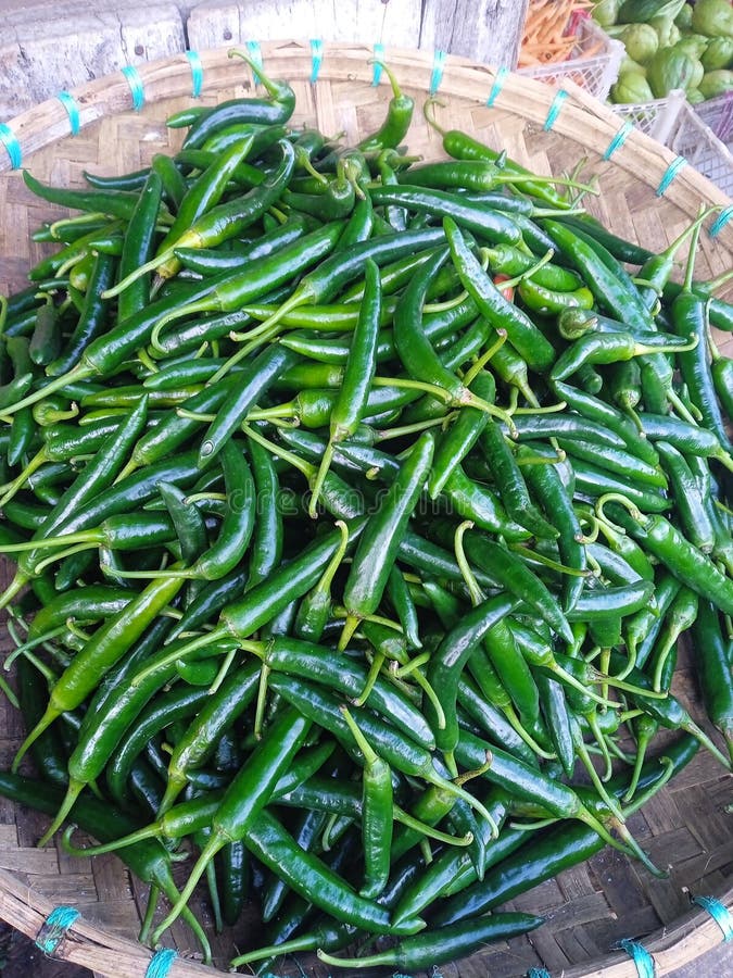 Fresh Green Chilies Stacked in a Container Stock Photo - Image of ...