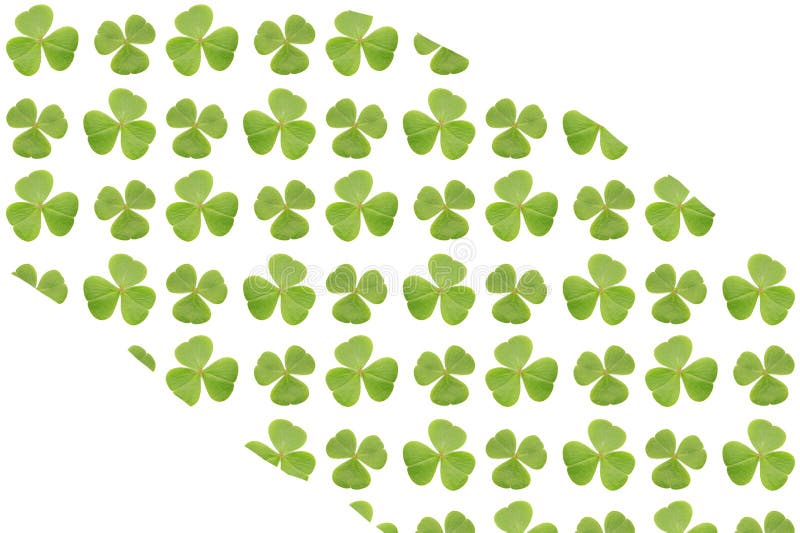 Green Clover Leaf Abstract on White Background Stock Illustration ...
