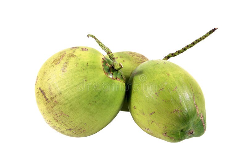 Fresh Green Coconut Fruit Isolated on White Background. Fresh Coconut ...