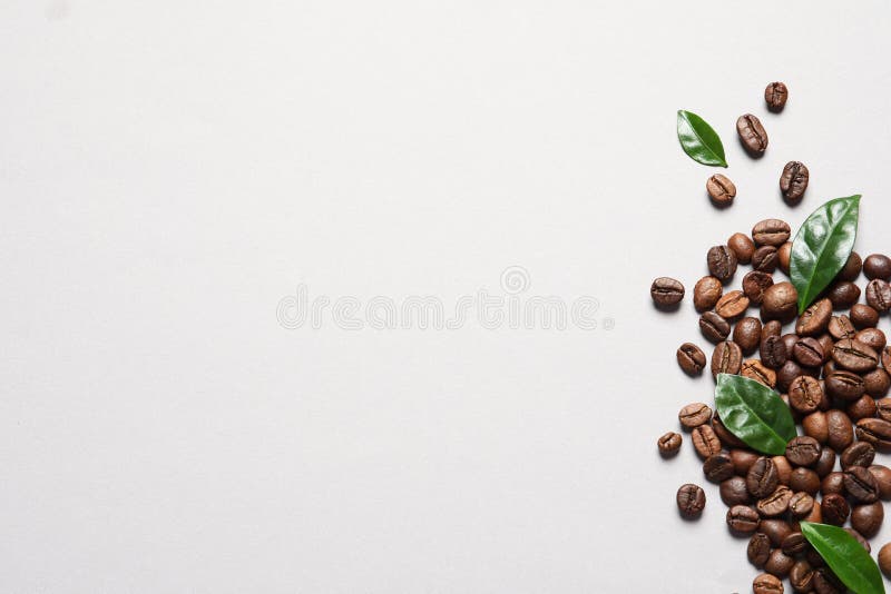 Fresh Green Coffee Leaves and Beans on Light Background, Flat Lay Stock ...