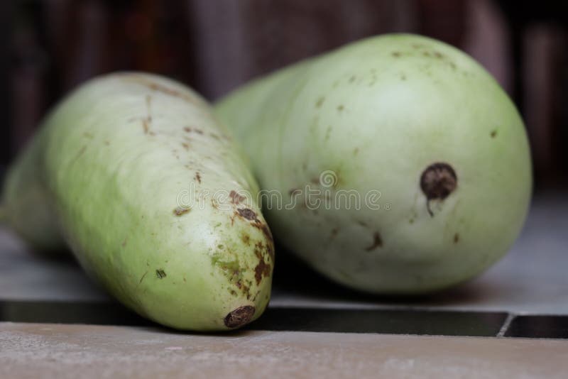 Bottle Guard Slice Stock on Plate Stock Image - Image of calabash ...