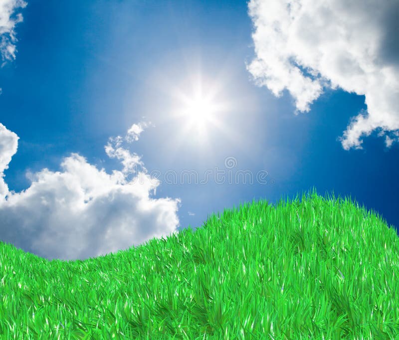 Fresh Green Field On Blue Sunny Sky Background Stock Illustration ...