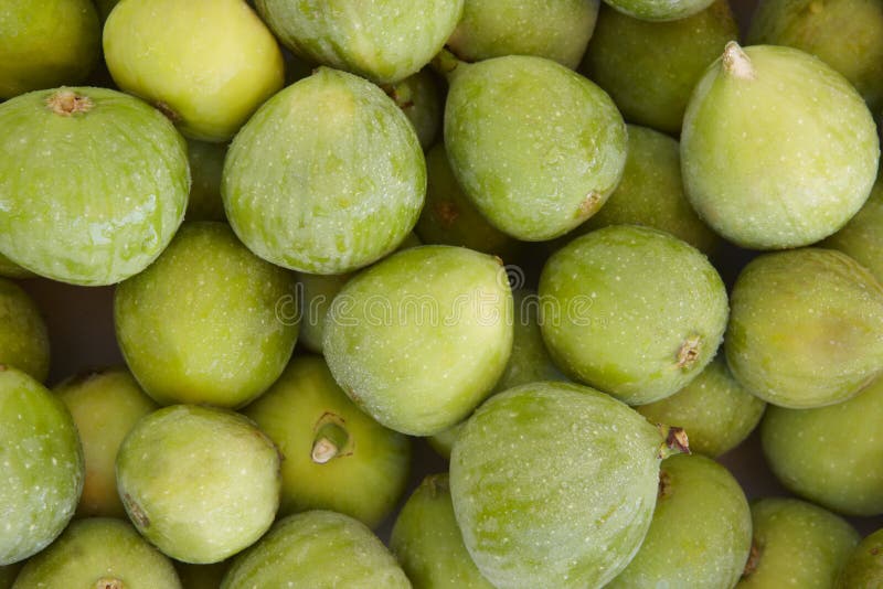 Fresh green figs detail stock image. Image of fruit, fresh - 59720399