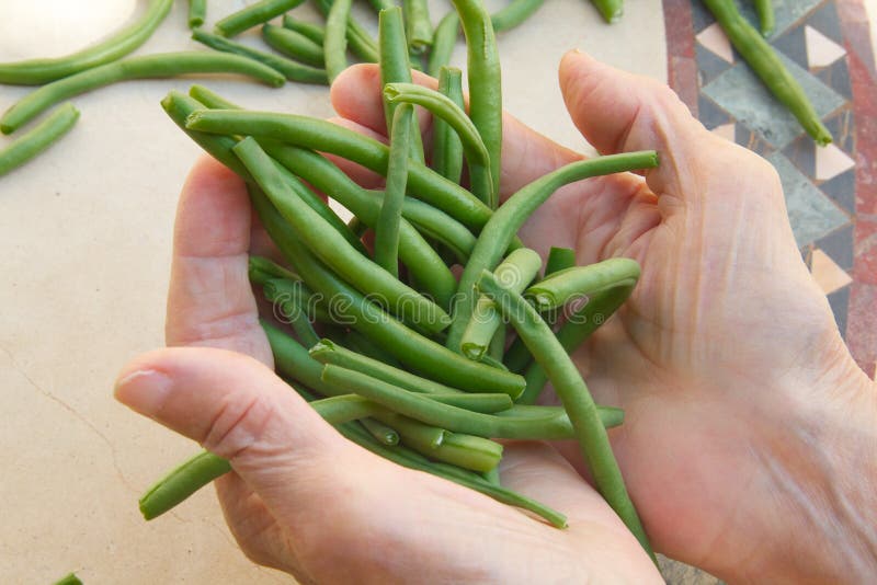 Fresh Green French String Beans Stock Photo - Image of french, diet ...