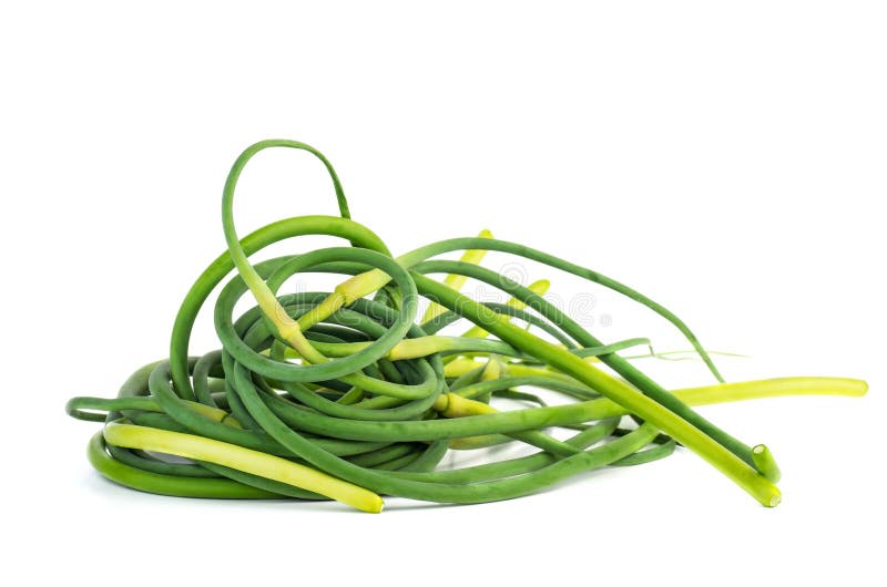 Fresh green garlic sprouts stock image. Image of agriculture - 249515769