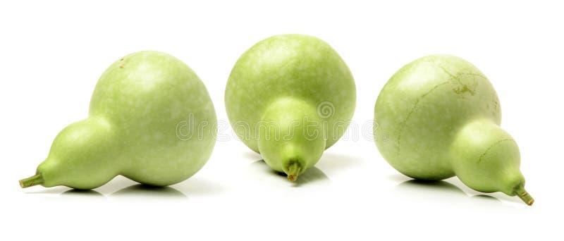 Fresh green gourd stock photo. Image of full, plant - 104982020
