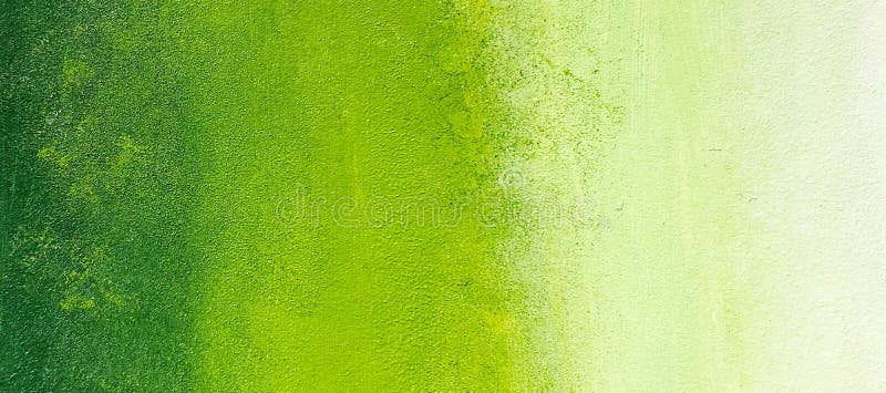 Fresh Green Gradient with Textured Details Banner, Minimalistic ...