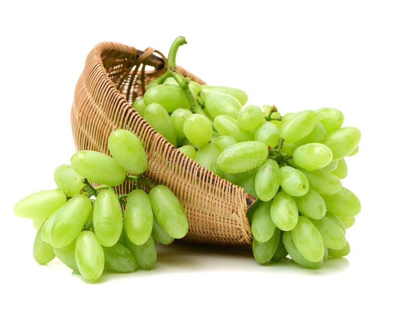 Fresh green grape stock image. Image of healthy, food - 103659583