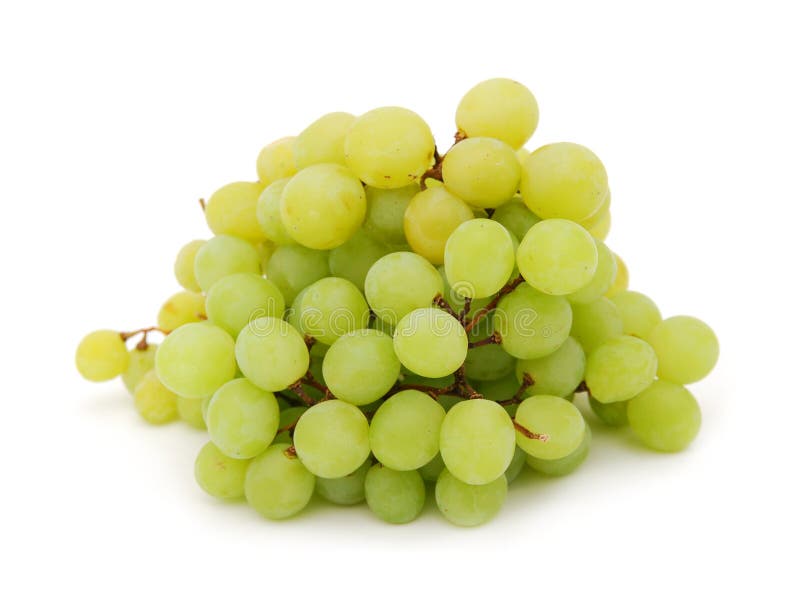 Fresh green grapes stock photo. Image of gourmet, studio - 25140956