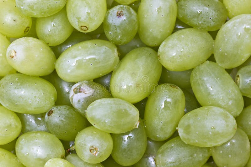 Fresh Green Grapes Background Stock Photo - Image of many, plant: 16330020