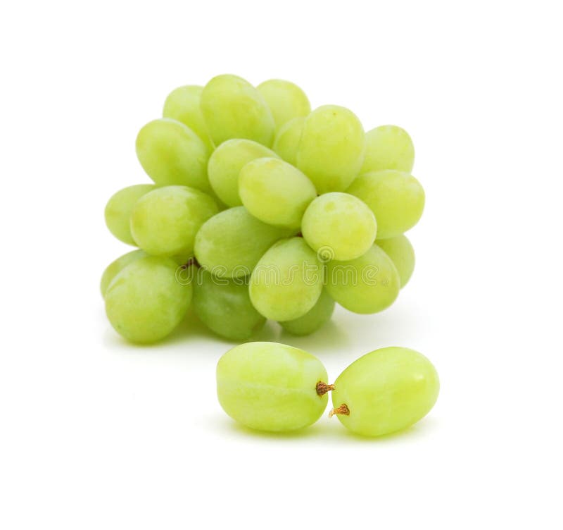 Fresh green grapes stock image. Image of meal, winery - 30381949