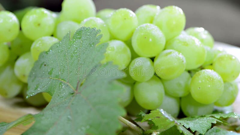 Fresh Green Grapes (not Loopable) Stock Video - Video of footage ...